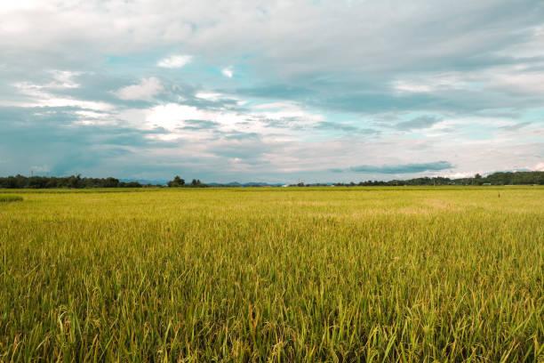 Déclaration Pac | Peu d’évolution mais des dérogations accordées pour ...