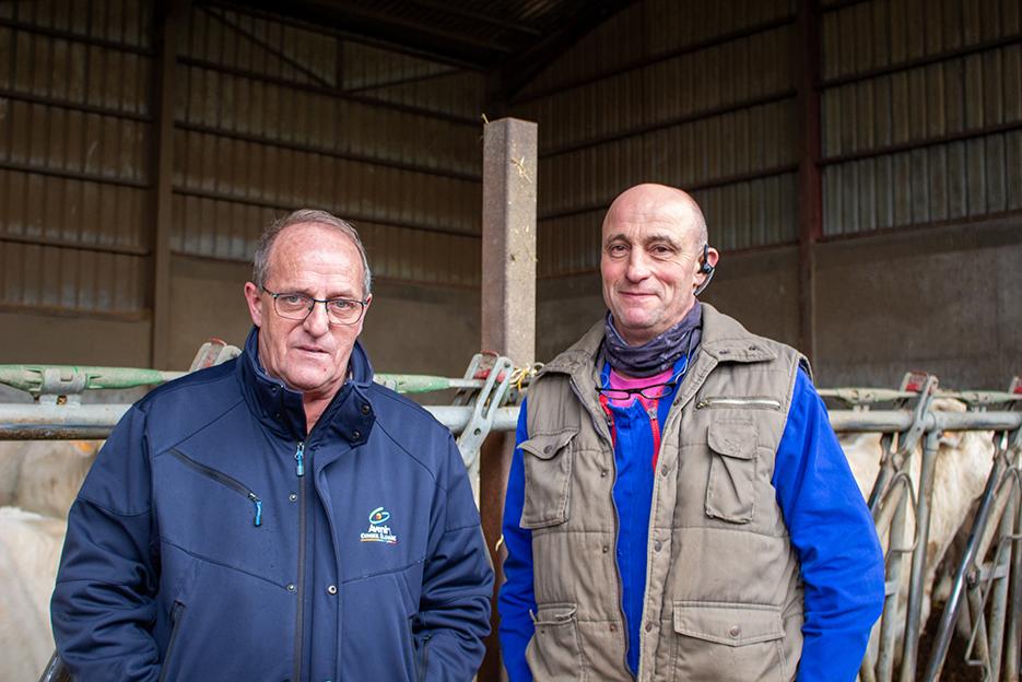 Elevage bovin | À la découverte d’un filon charolais dans l’Aisne ...