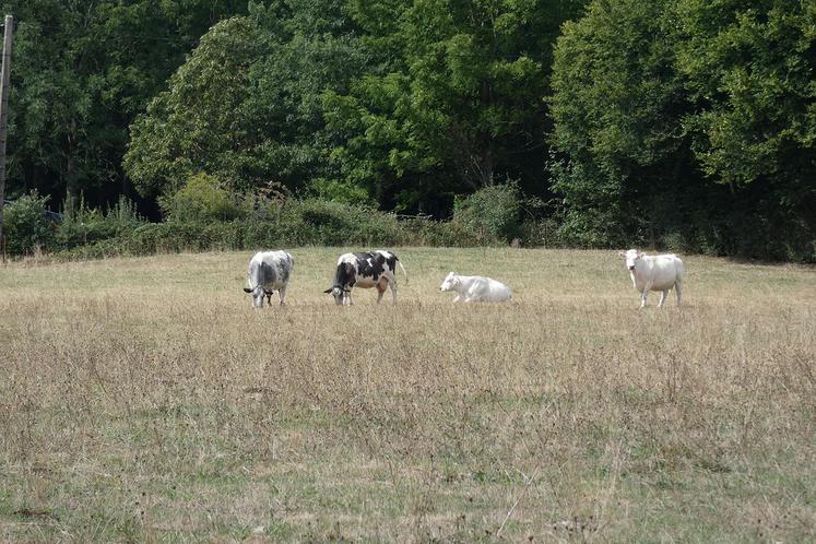 Loisirs | Mieux connaître la Bleue en se baladant | Action agricole Picarde