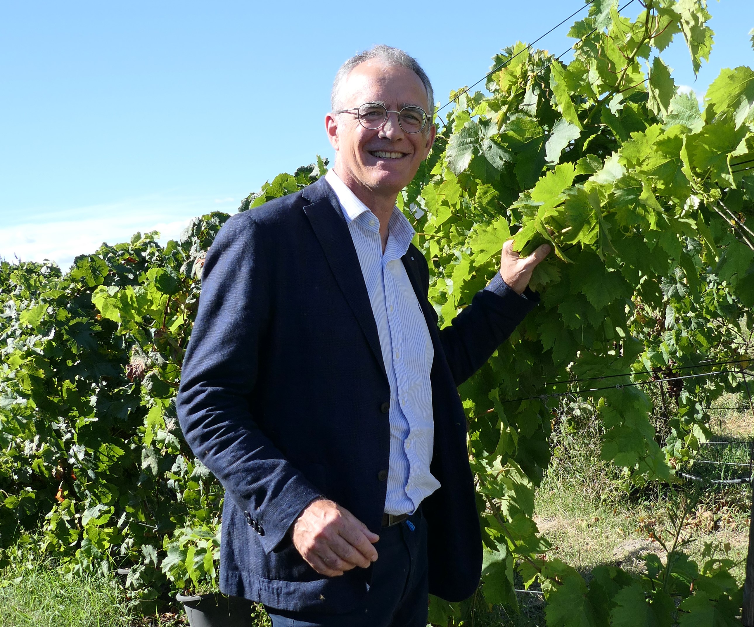 Christophe Riou, DG de l’IFV : « En vigne, plus de 2000 génotypes ...