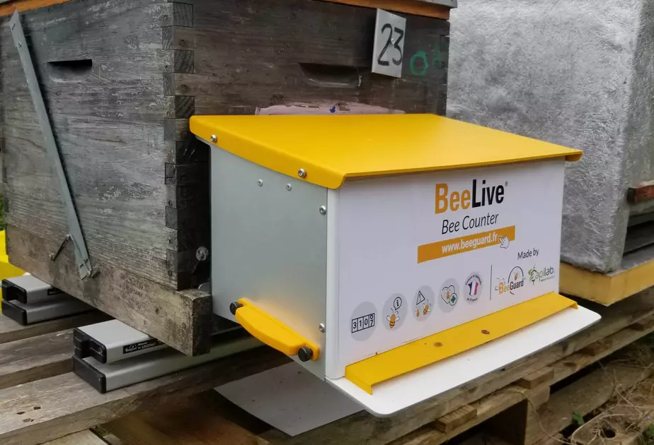 Beeguard parie sur les abeilles comme témoins de la biodiversité | Agra ...