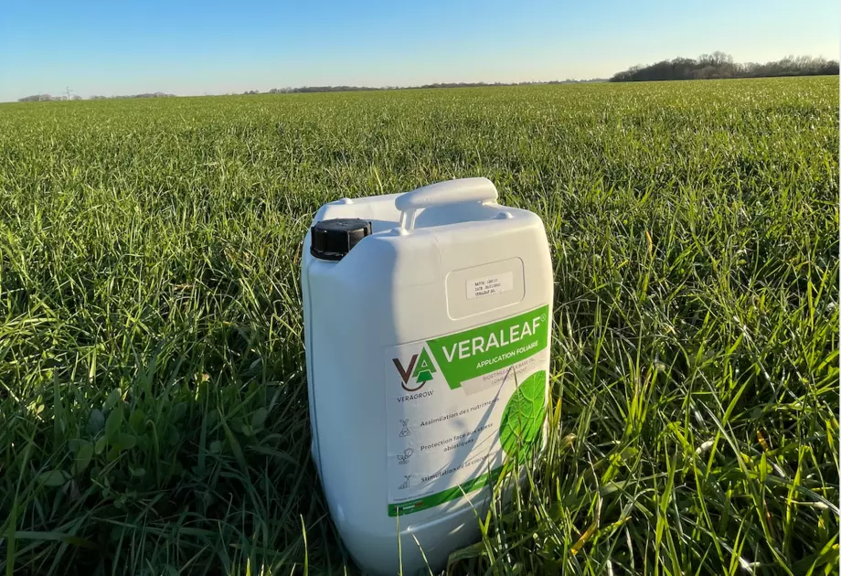 Veragrow en passe de lever 2,5 M€ pour développer ses biostimulants ...