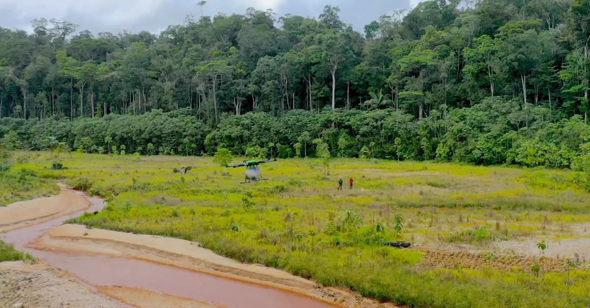 Morfo veut devenir leader mondial de la reforestation | Agra Innovation