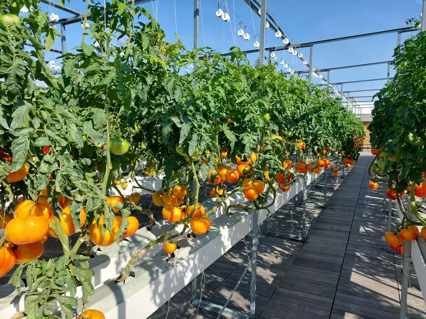 Agripolis repris par le groupe hôtelier Atypio, son principal client ...