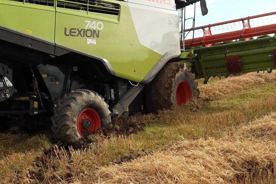 Orge : des débuts de moisson très compliqués | Agri53