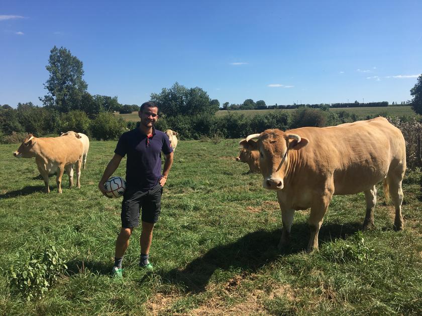 Magazine | Le collectif, du stade à la stabulation | Réussir Agri72