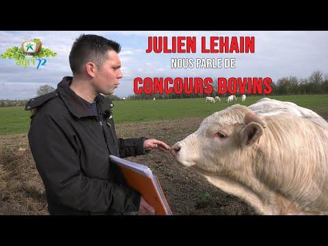 Julien Lehain nous parle de concours bovins | Réussir Agri72