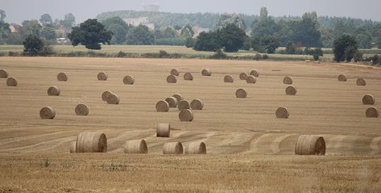 Une moisson précoce et belle | Réussir Agri72