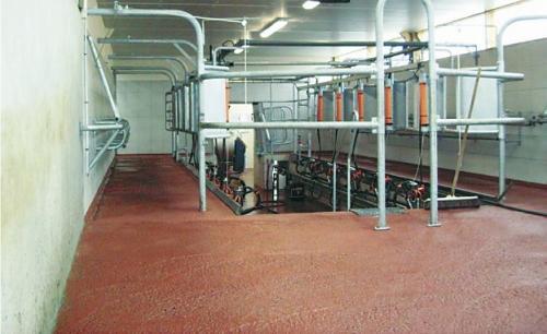 Salle de traite | Optimiser la circulation des vaches laitières | l ...