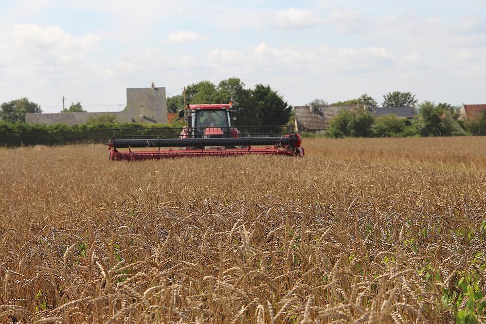 La moisson compliquée touche à sa fin | l'Agriculteur Normand