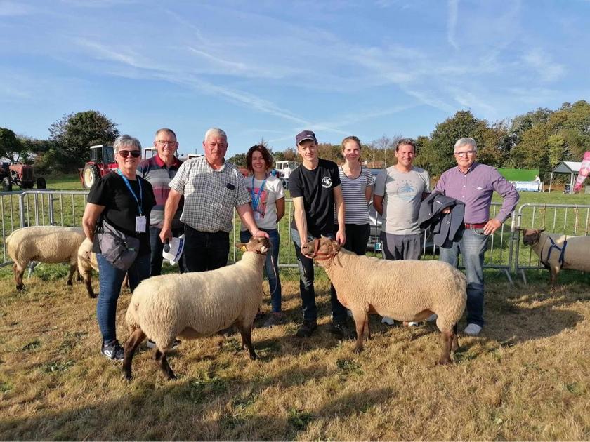 Foire Saint-Denis à Brix | Roussin et Cotentin. : le dernier concours ...