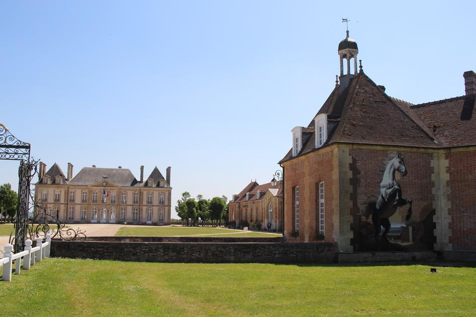 National Normand 2023 | « Le Haras du Pin est un lieu symbolique pour ...