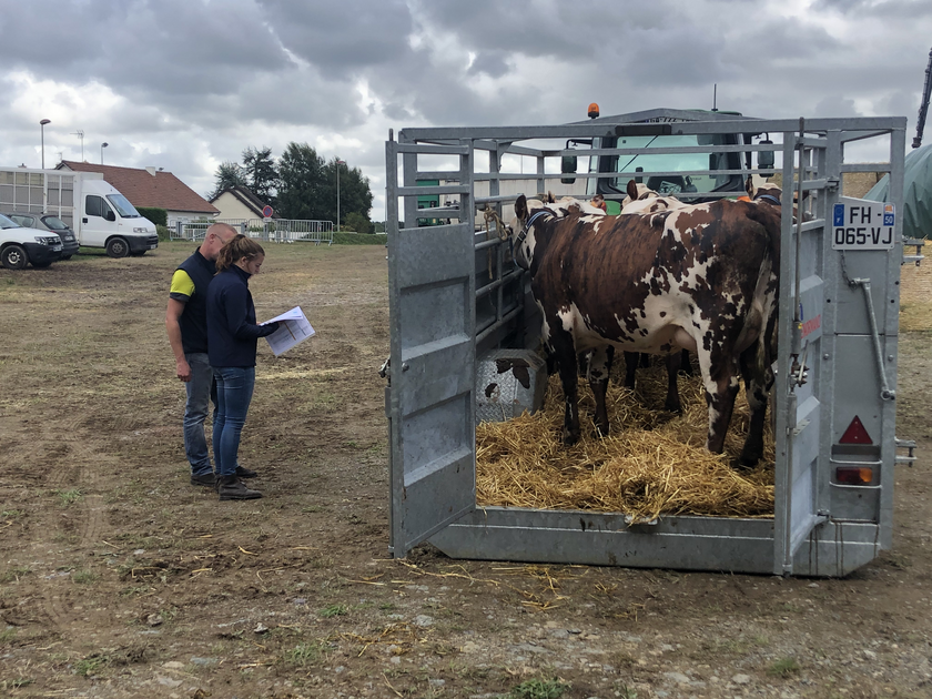Festival de l’élevage à la Foire de Lessay | Foire de Lessay : une ...