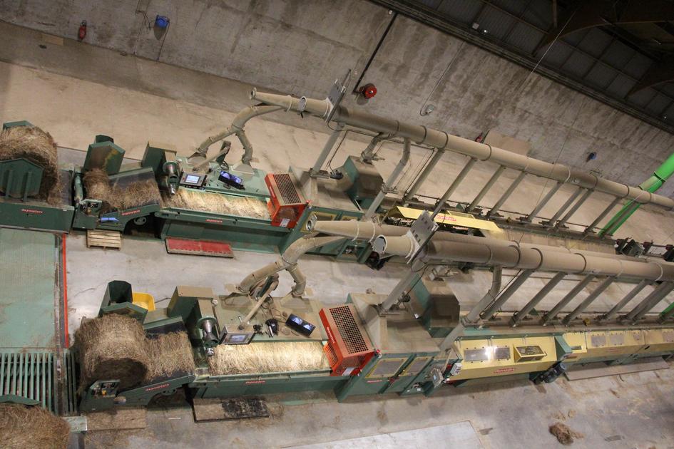 Teillage du lin | [VIDEO] À La Jalousie, la Coopérative linière Cagny gagne en performance | l ...