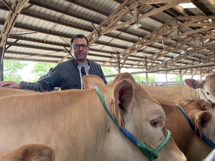 Vincent Duval et ses Blondes au festival de l'élevage | l'Agriculteur ...