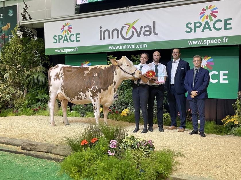Concours en race Normande au Space 2024 | [EN IMAGES] Au Space, Sun ...