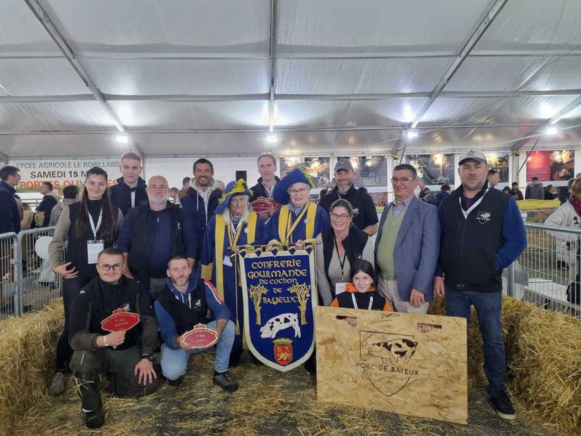 Race locale | [EN IMAGES] Au Fêno 2024, les porcs de Bayeux font le ...