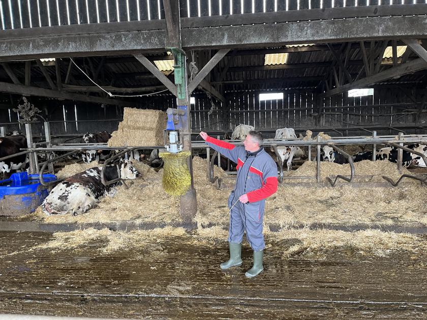 Limiter les perturbations de son troupeau | Cerfrance réalise aussi des ...