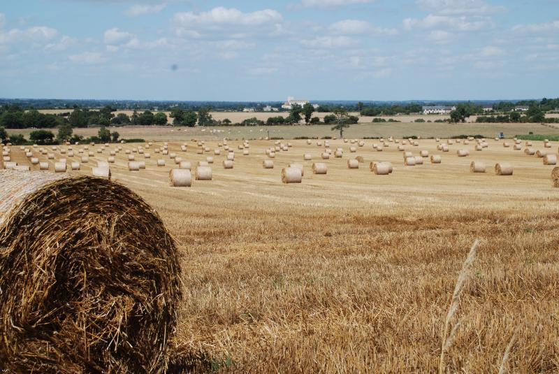 Fourrages | Équilibrer le système fourrager | Anjou agricole