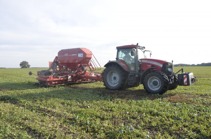 Semis de blé : tous au couvert ! | Anjou agricole
