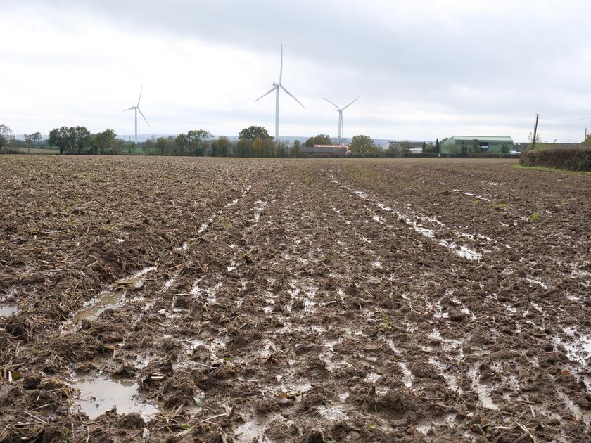 Des semis en attente d’une éclaircie | Anjou agricole