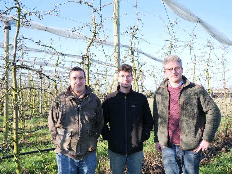 Arboriculture | Cueillette et vente directe | Anjou agricole