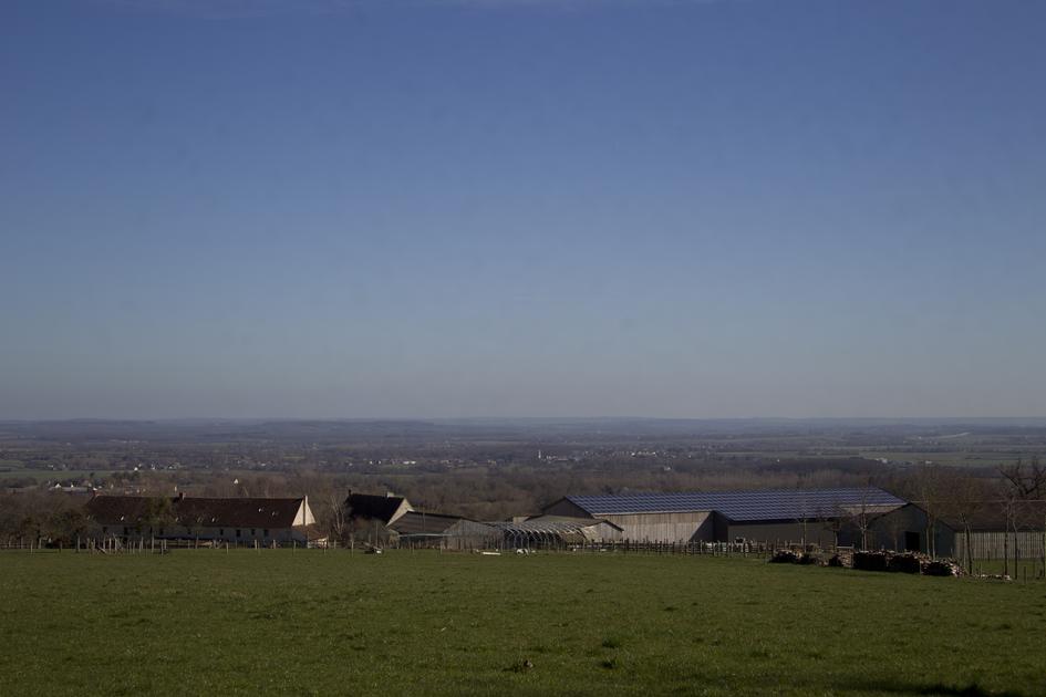 Agriculture biologique : comment évolue le bio en Europe ? | Réussir Bio