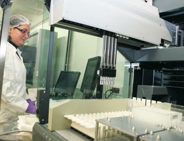 Gembal, un projet collectif pour toutes les races | Réussir bovins viande