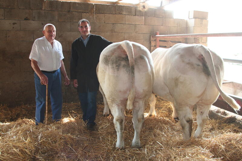 La fibre de l’embouche | Réussir bovins viande