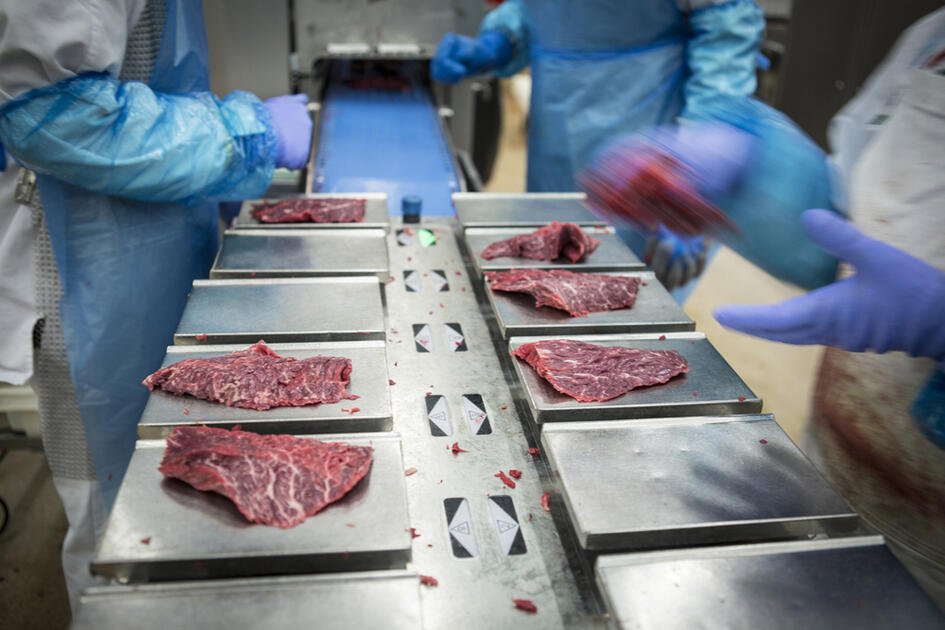 Culture Viande : "Un modèle d'approvisionnement en pleine mutation ...