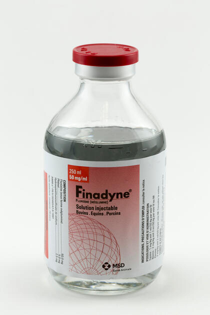 MSD Santé animale - Finadyne injectable de retour sur le marché ...