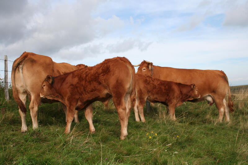 Fertilité des sols : comment et pourquoi y faire attention en ...