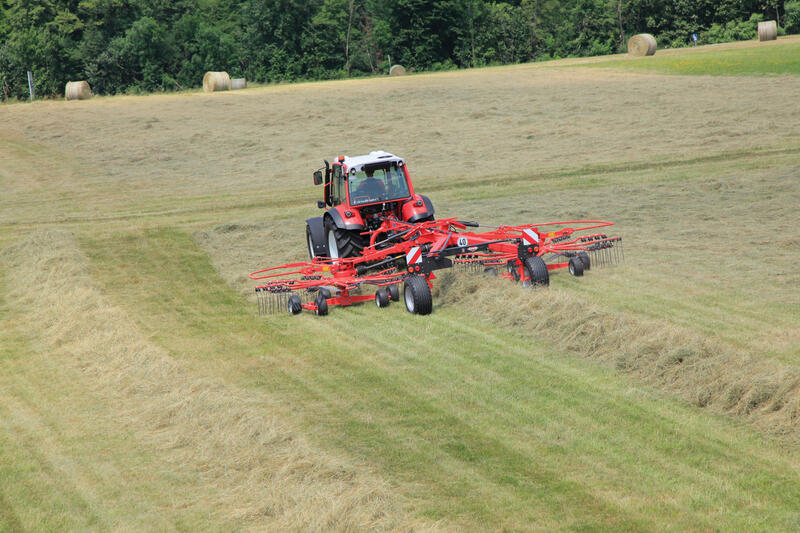 L’andaineur à rotors loin d’être au tapis | Réussir bovins viande