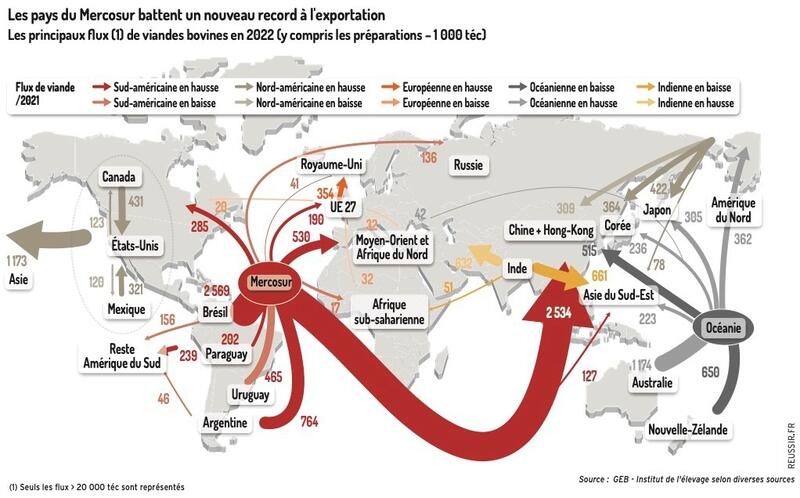 Viande bovine : l’Europe recule sur l’échiquier mondial | Réussir ...