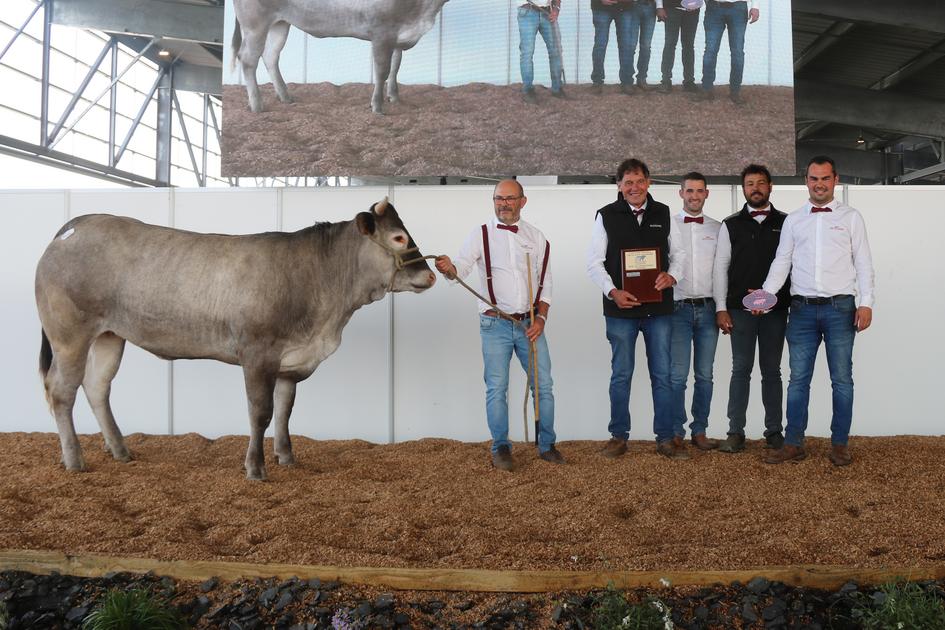 Pyrénéennes 2024 : retrouvez les champions du concours national ...