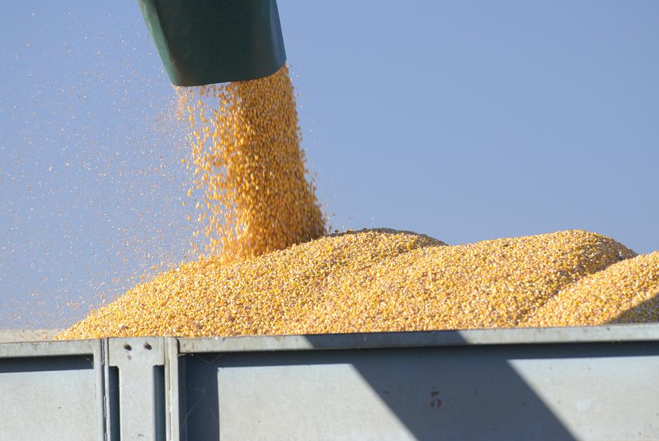 Prospective | Des prix agricoles bousculés sur les marchés | Caracterres