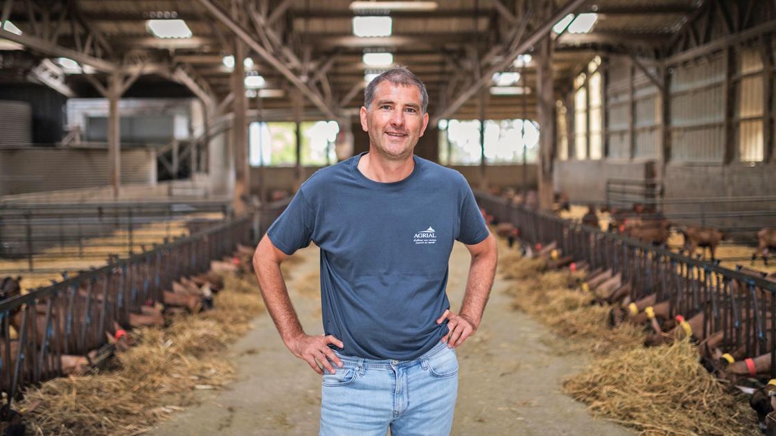 Conjoncture | « La filière présente une bonne équation laitière ...