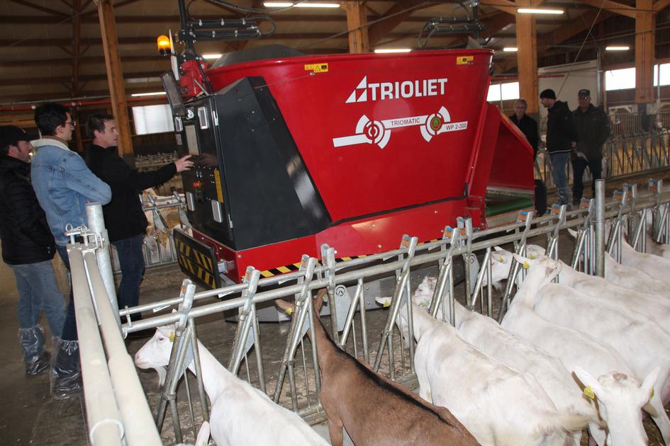 Les repas des chèvres servis par un robot | Caracterres