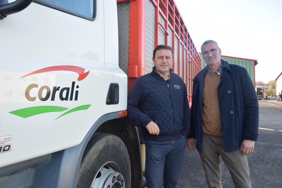 Résultats motivants pour la coopérative Corali | Caracterres