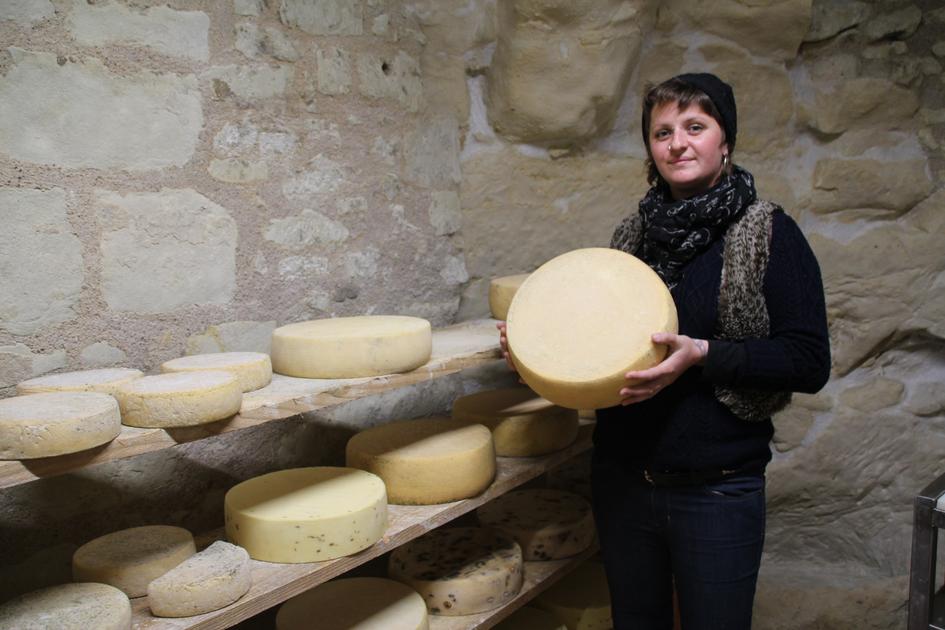 Les premiers fromages de «Lie Cheese» arrivent sur les tables | Caracterres