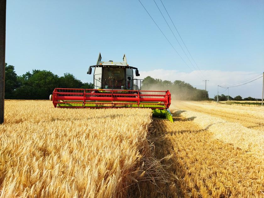 Moissons | Un bon début pour les orges | Caracterres