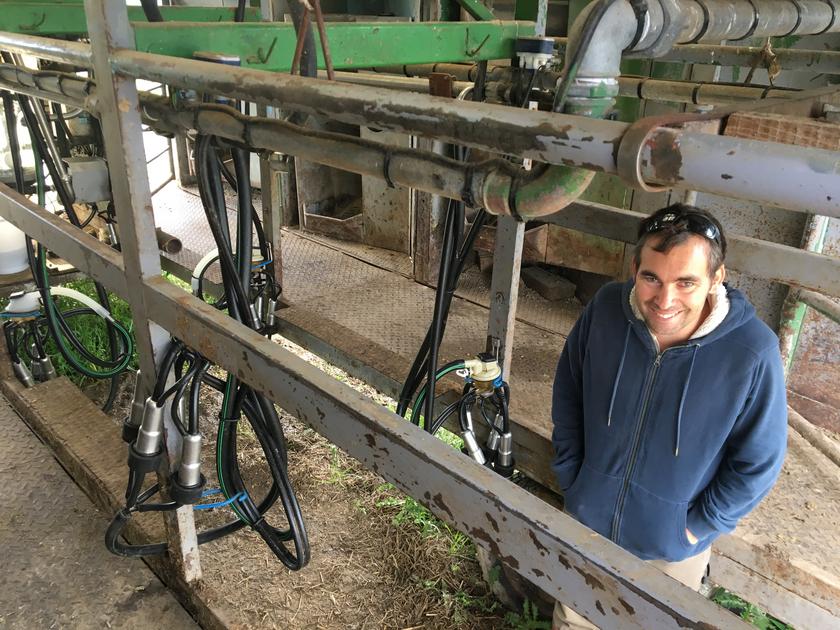 Bovins lait | La traite en plein champ : agile et économique | Caracterres