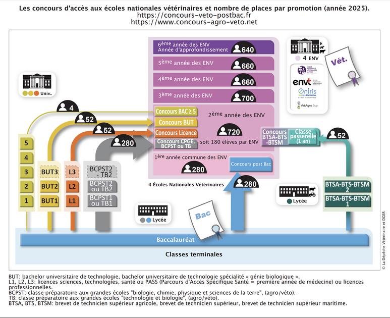 BTS | Une nouvelle voie d'accès aux écoles véto et d'ingénieurs ...