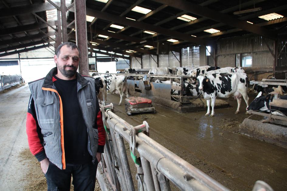 Élevage laitier : des robots au service des performances | Caracterres