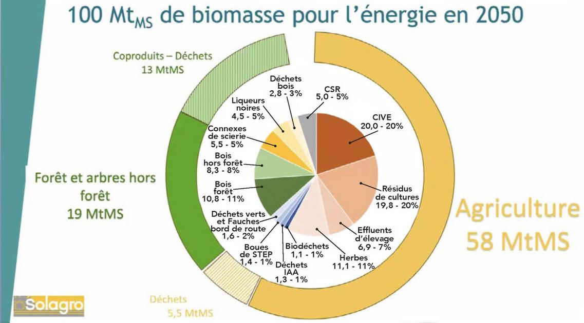Biomasse | Le rôle stratégique de l'agriculture dans l'énergie de ...