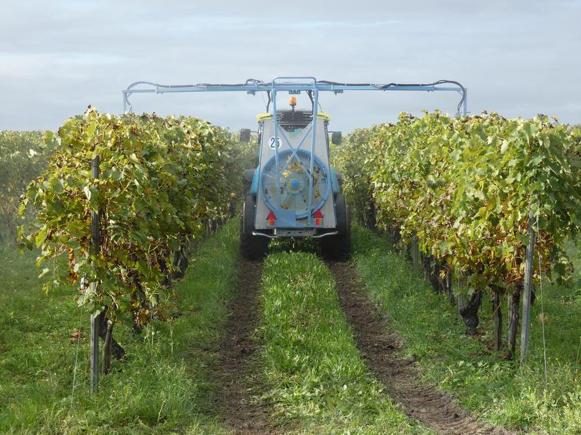 Viticulture | Les temps de travaux dans les fermes Dephy Ecophyto ...