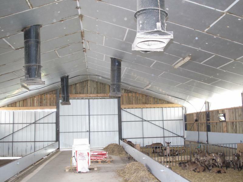 Un bâtiment chevrettes bien adapté et bien ventilé | Réussir La Chèvre