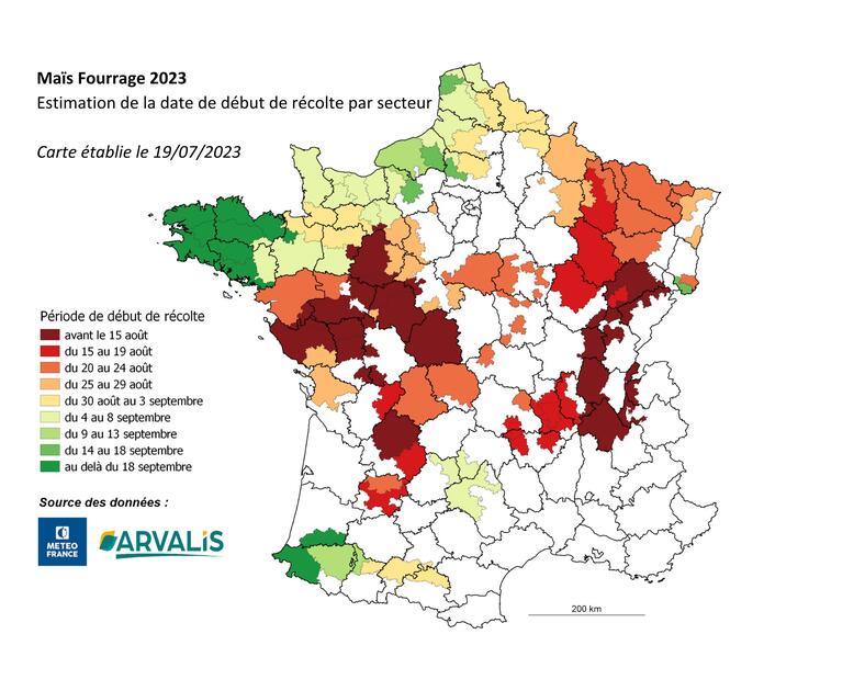 Ensilages de maïs : premiers chantiers avant le 15 août | Réussir La Chèvre