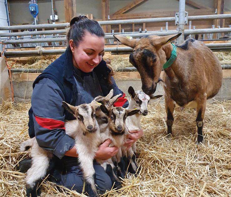Des chevrettes bien élevées pour une croissance réussie | Réussir La Chèvre