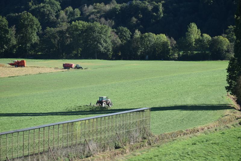 « Nous sommes passés de 400 à 220 chèvres pour retrouver de l’autonomie ...